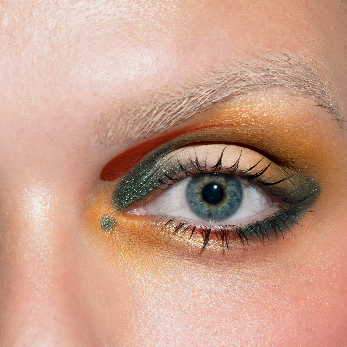 Creator Palette LH Cosmetics | PURISH